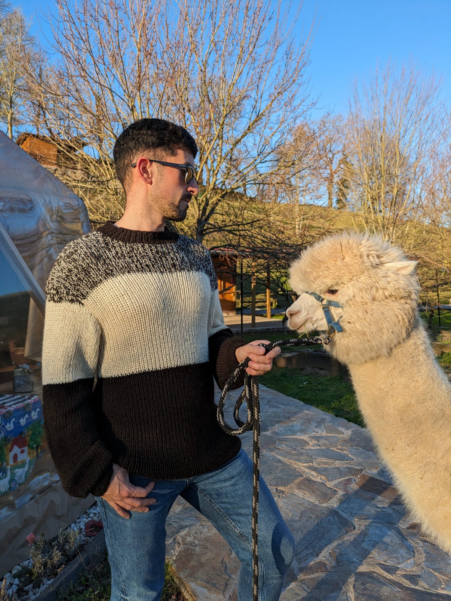 Artesanía con dos agujas y fibra de alpaca - Alpacas de la Tierruca ...